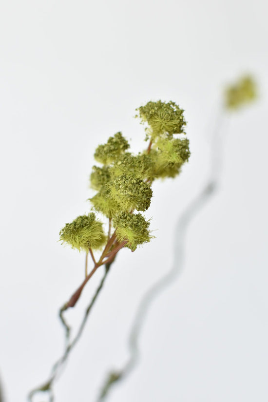 30" Faux Mini Fuzzy Blossom Branch – House by JSD