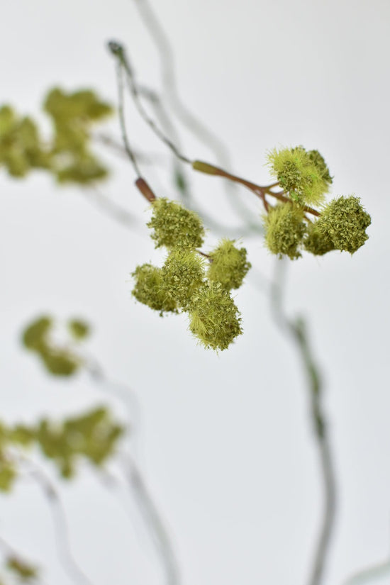 30" Faux Mini Fuzzy Blossom Branch – House by JSD
