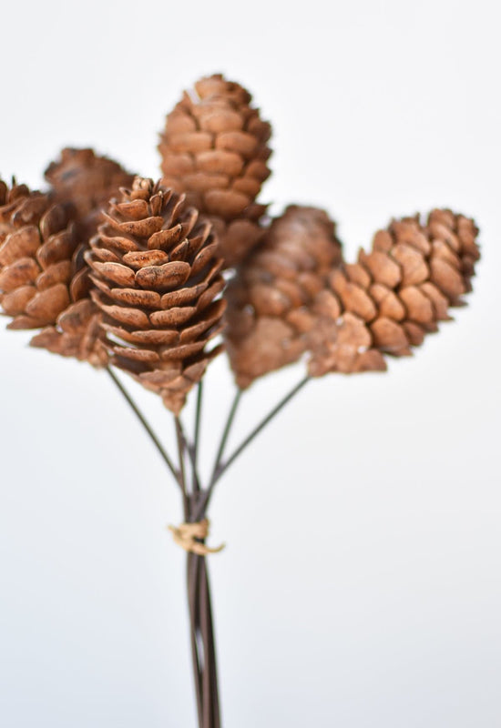 10" Faux Pine Cone Stem Bundle – House by JSD