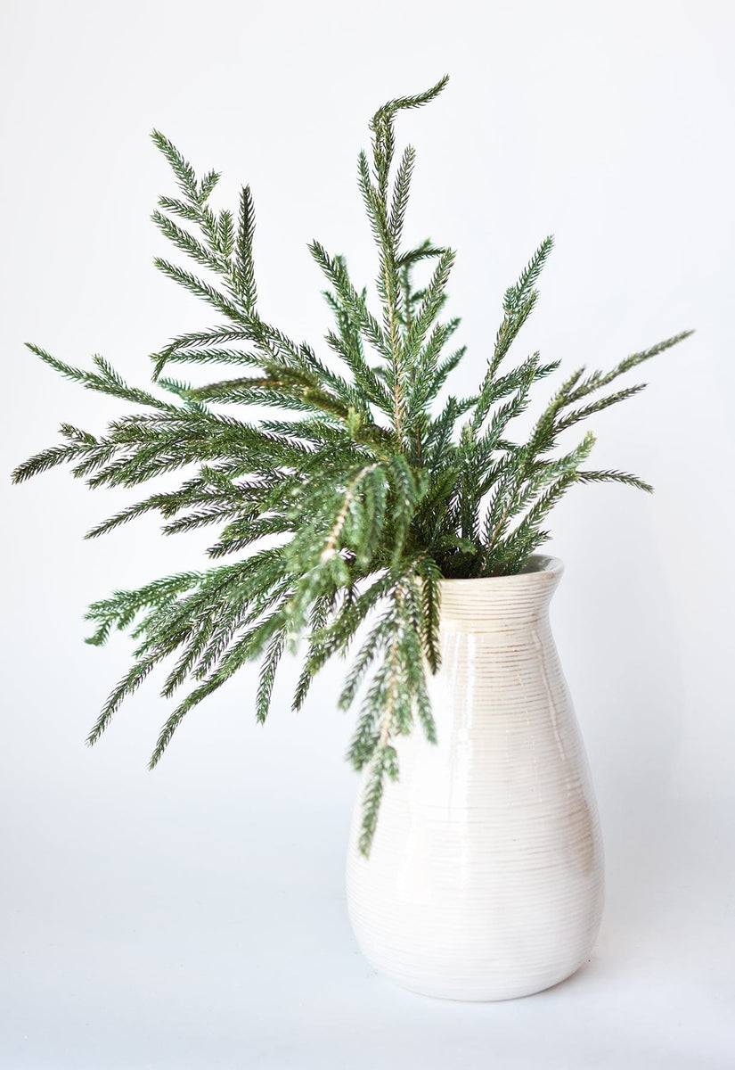 20" Faux Whitewash Green Norfolk Pine Spray Bush – House by JSD