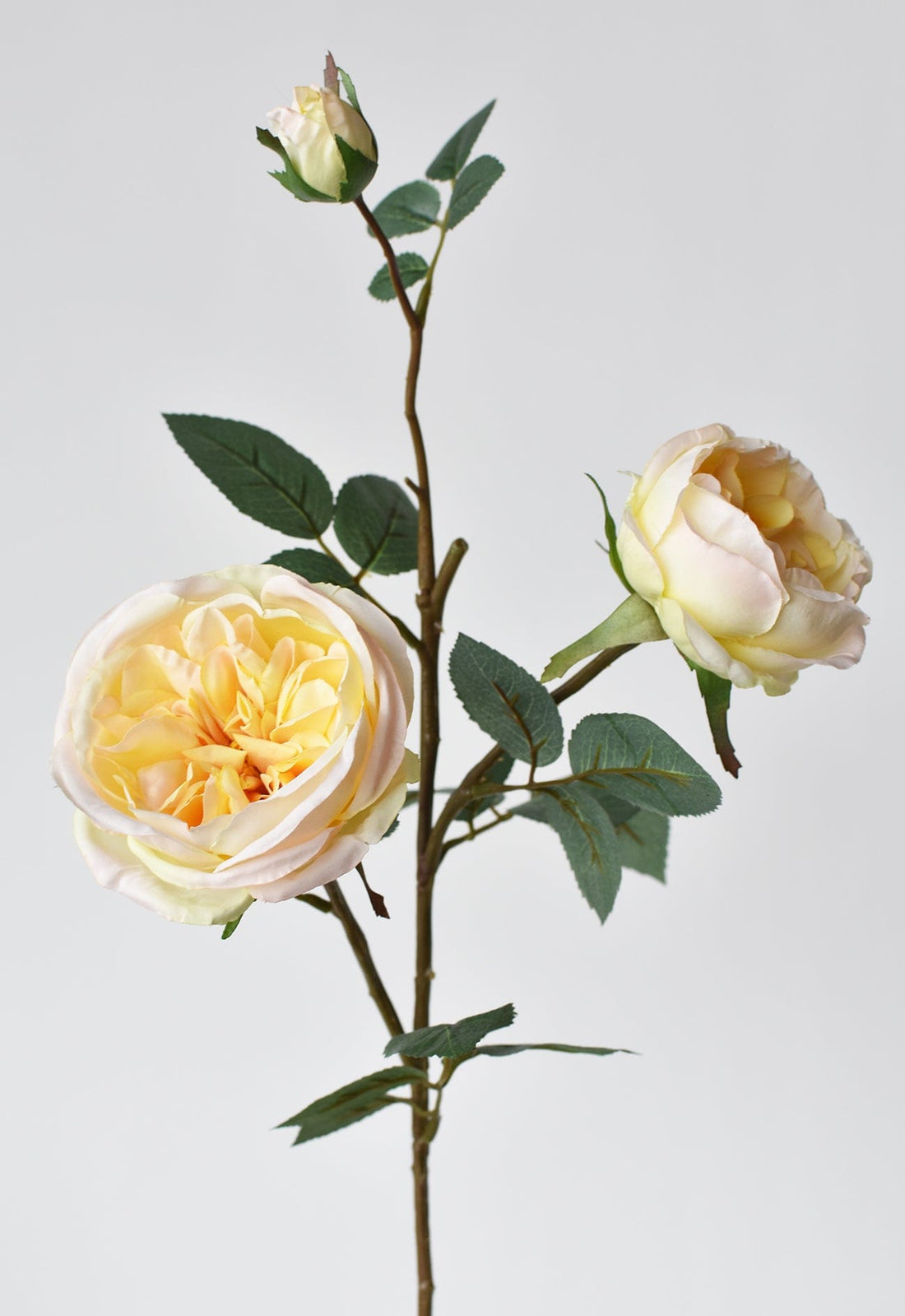 29" Faux Cabbage Rose Stem Yellow / Apricot – House by JSD