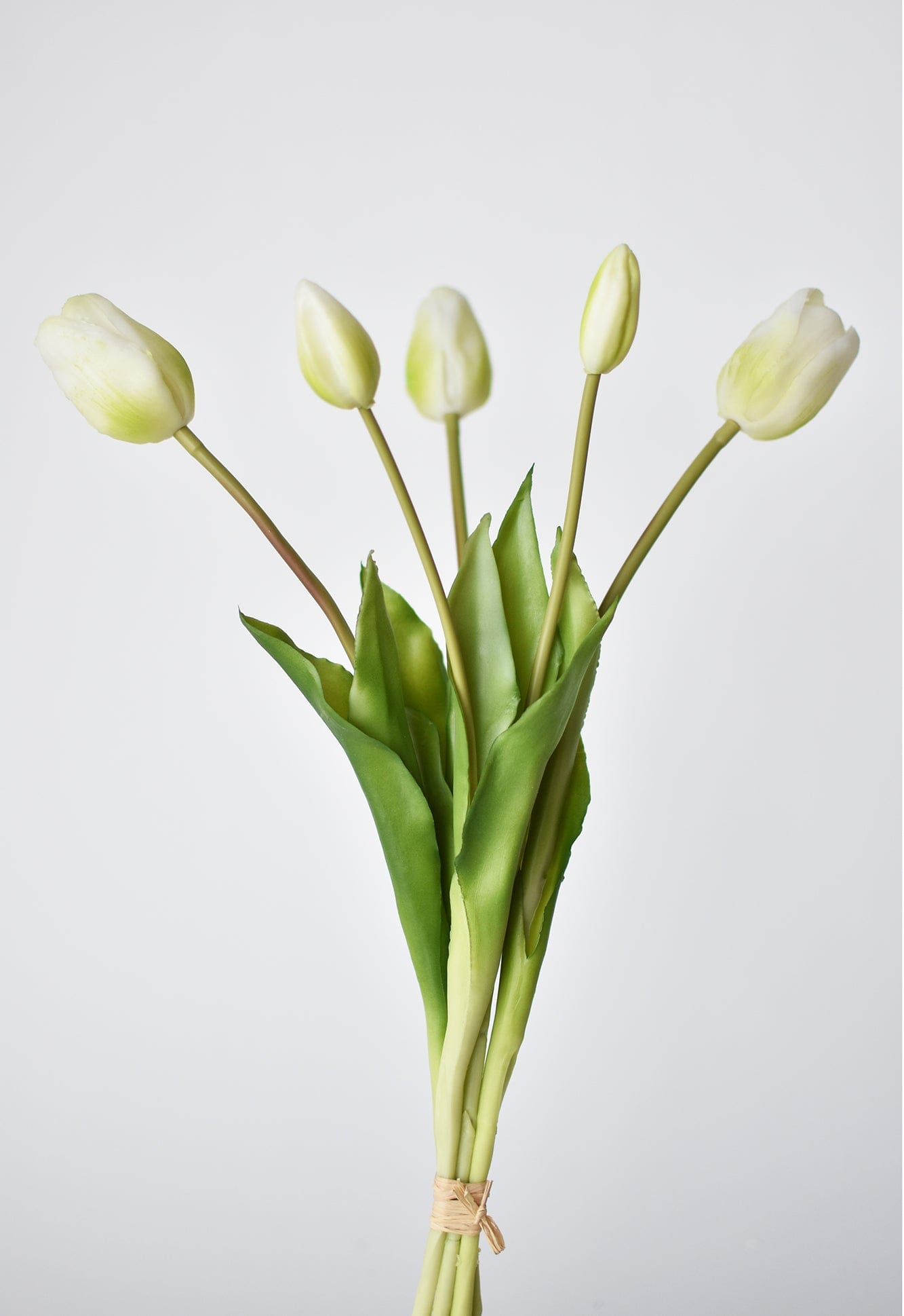 18" Faux Tulip Stem Bundle White Green – House by JSD