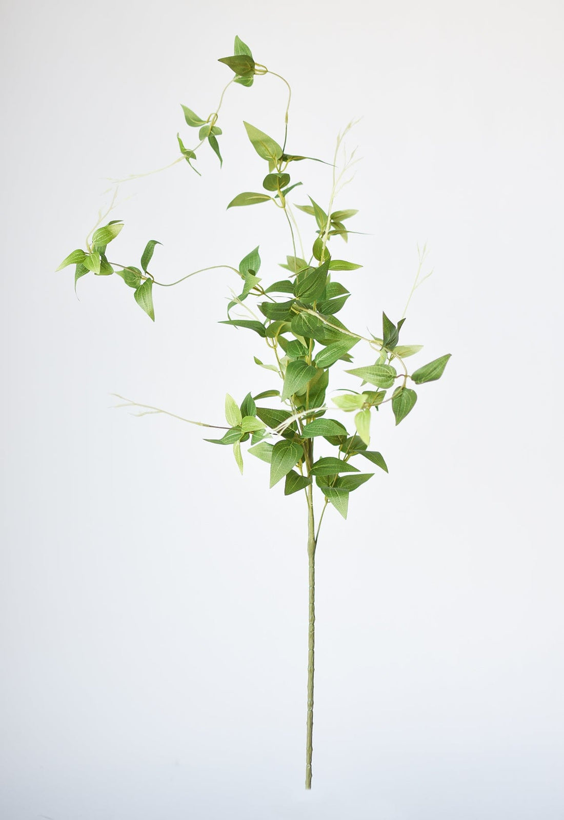 40" Faux Green Clematis Vine Stem – House by JSD