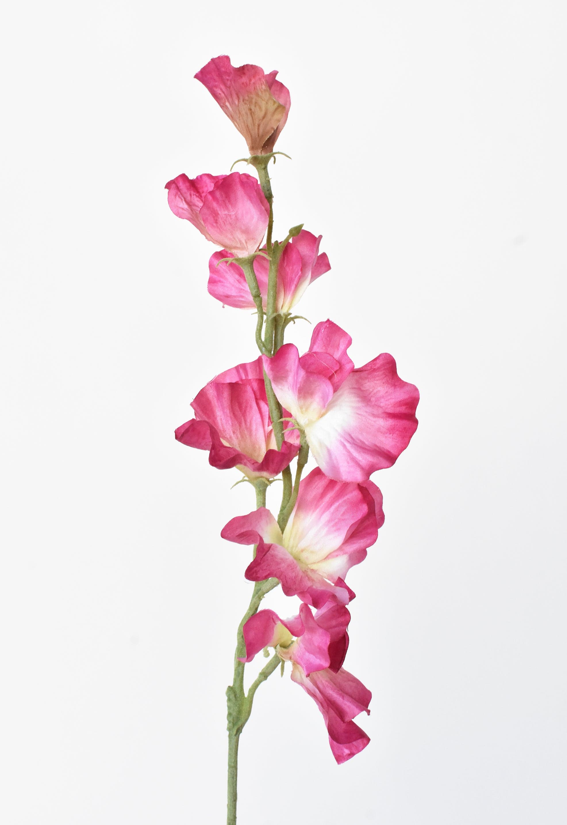 22" Faux Fuchsia Sweet Pea Stem – House by JSD