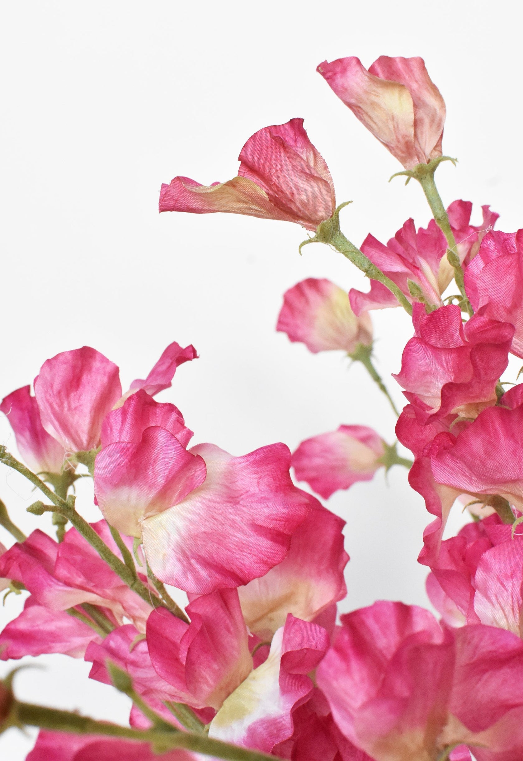 22" Faux Fuchsia Sweet Pea Stem – House by JSD