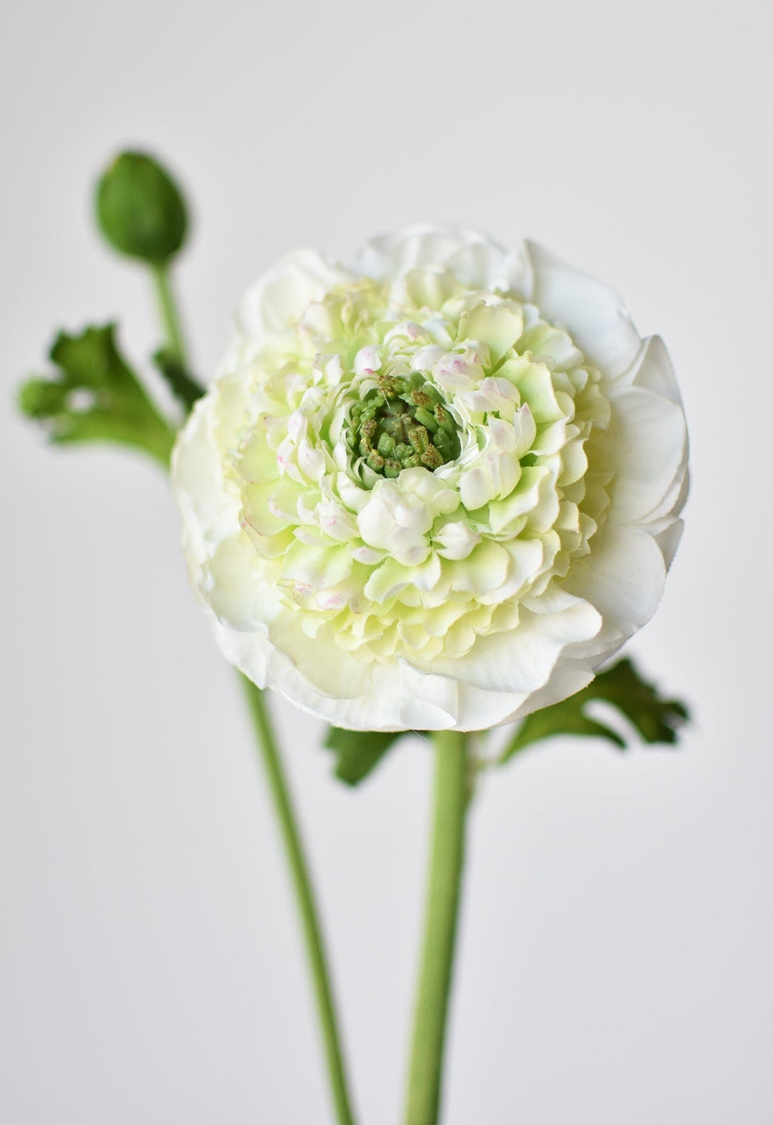 21" Faux Double Ruffled Ranunculus Stem White – House by JSD