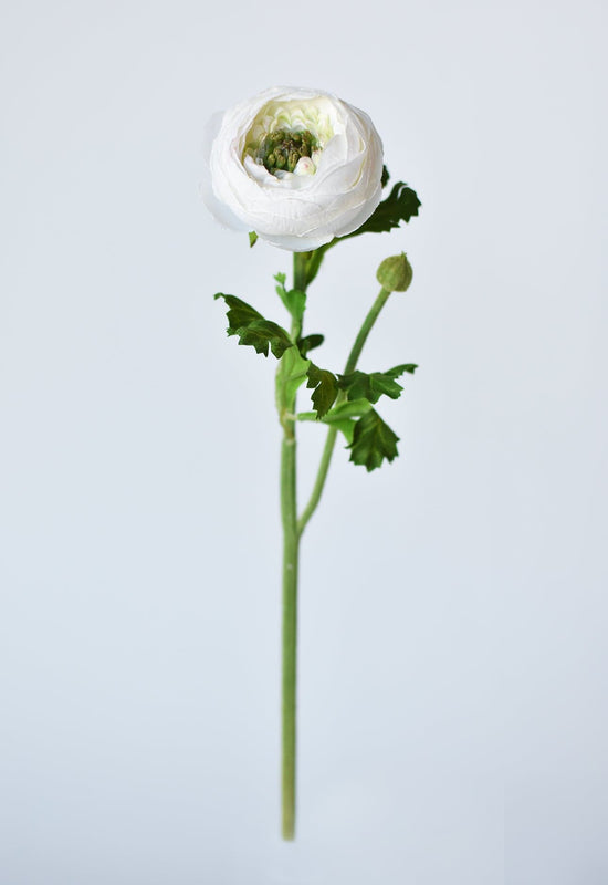13" Faux White Ranunculus Stem – House by JSD
