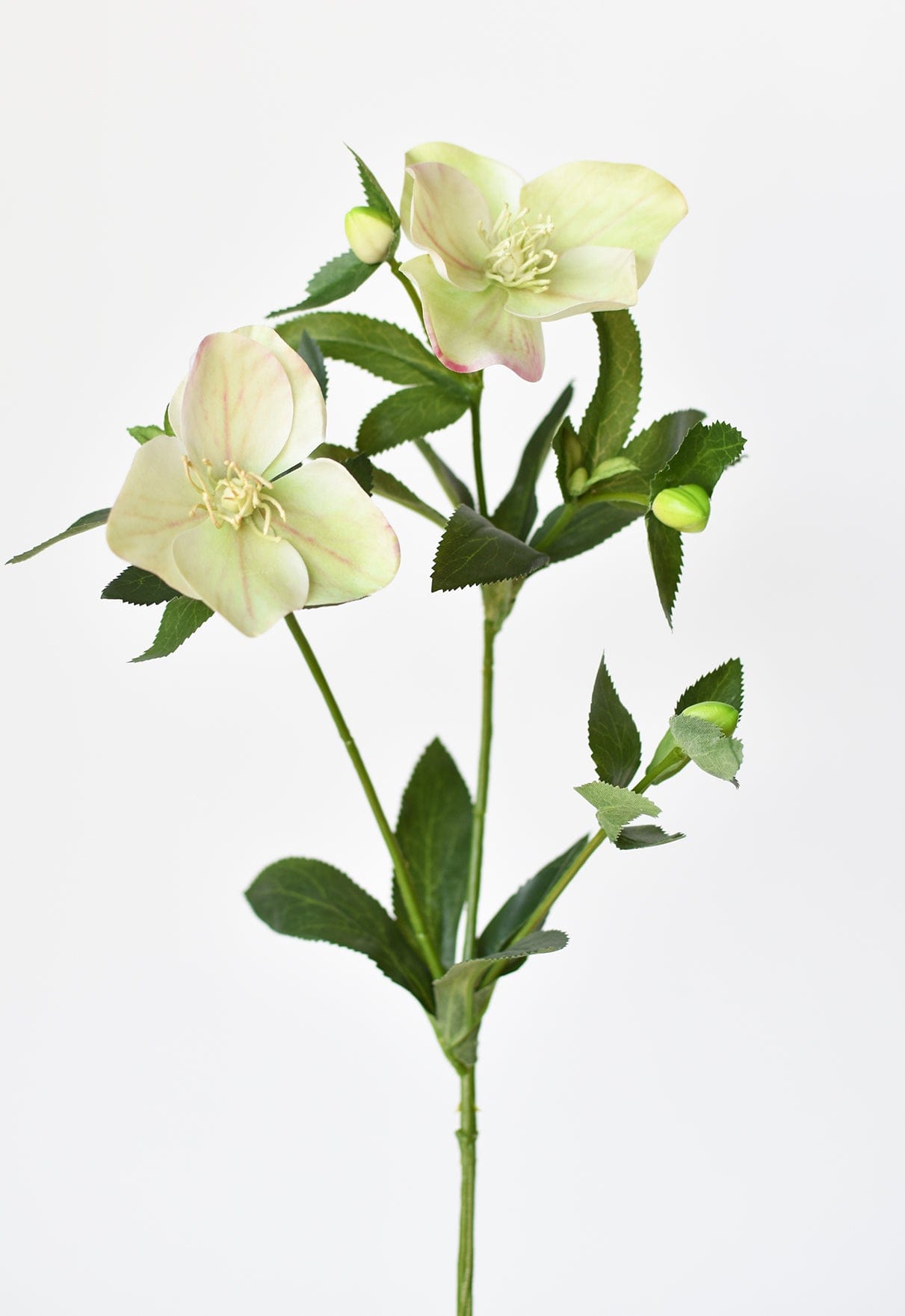 25" Faux Helleborus Stem Green – House by JSD