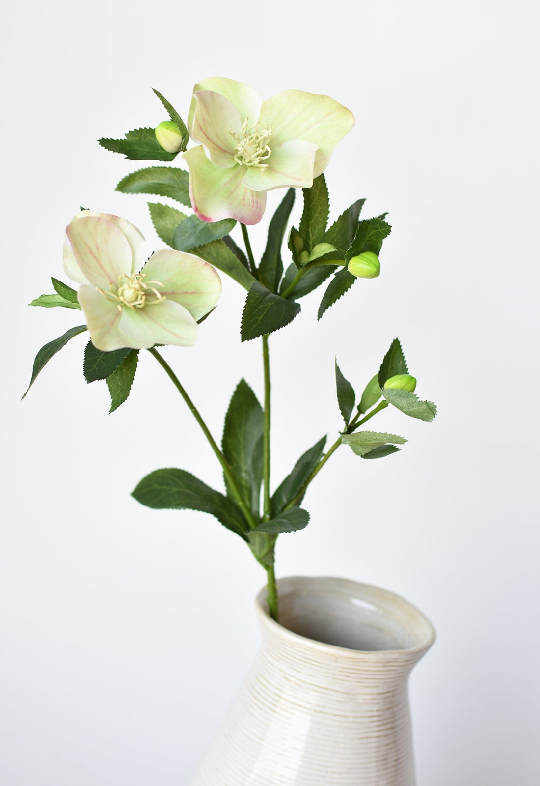 25" Faux Helleborus Stem Green – House by JSD
